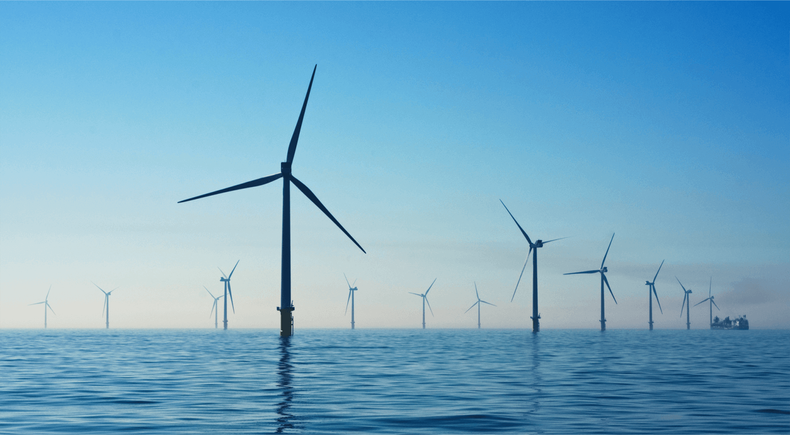 Renewable Sector | Lineat